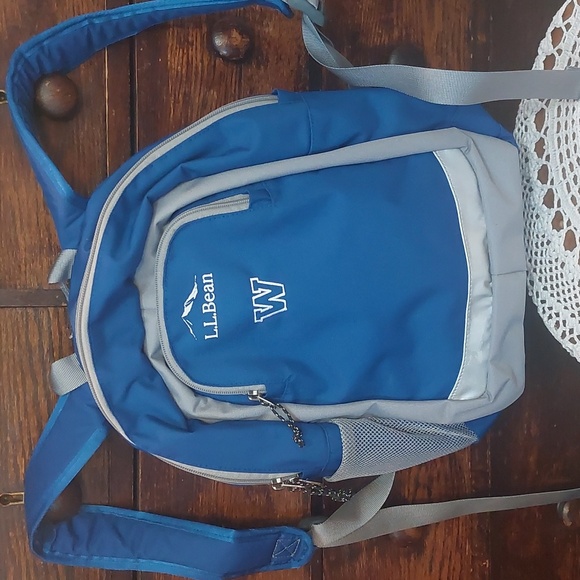 L.L. Bean | Other | Ll Bean Discovery Lll Backpack New Wtags Reflective ...